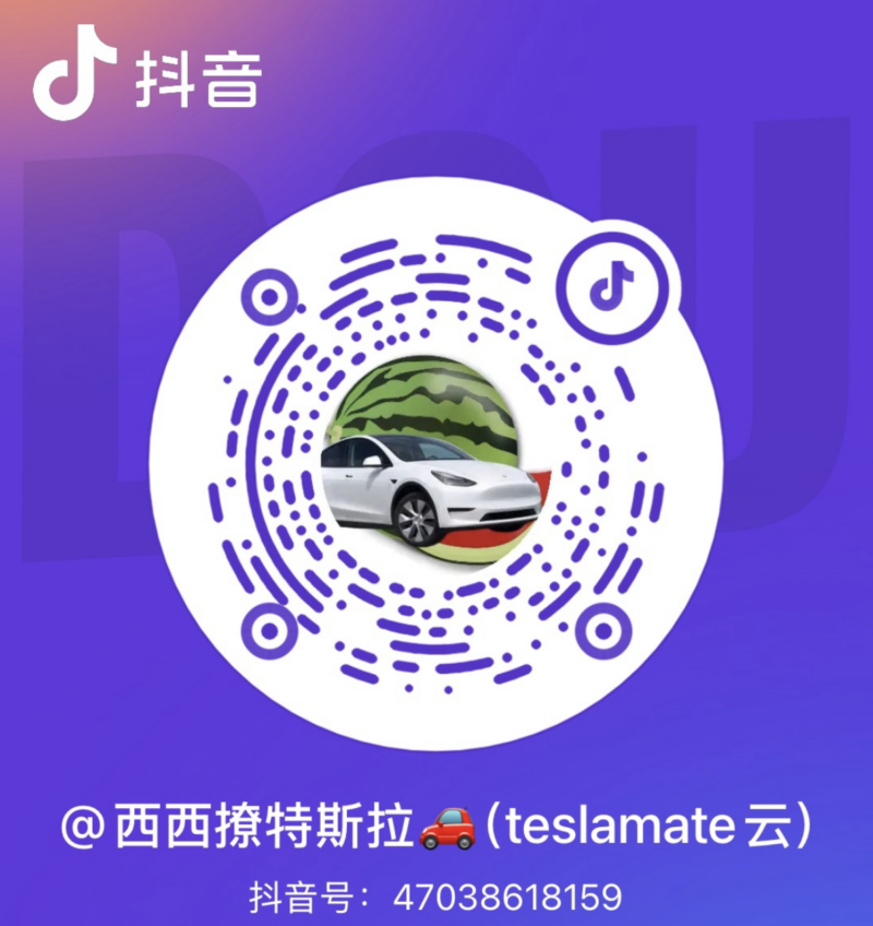 特斯拉伴侣云 TeslaMate Cloud – 特斯拉伴侣云 TeslaMate Cloud